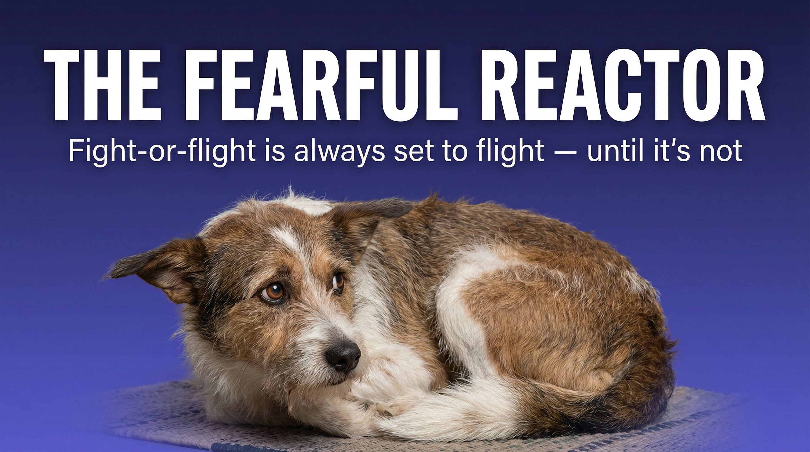 The Fearful Reactor: Understanding Your Dog's Behavior | Dog Archetype